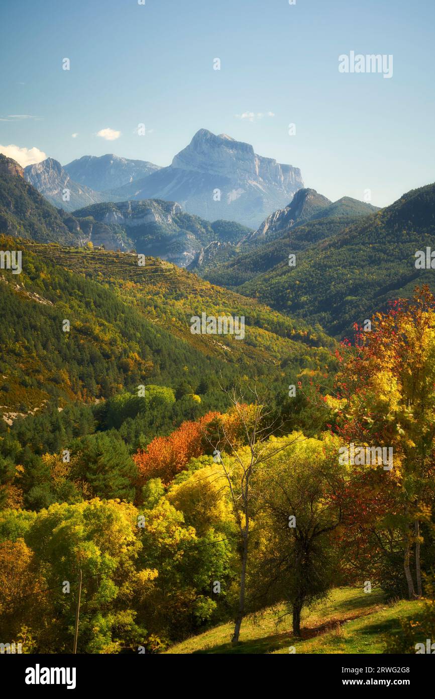 Fe 24 105mm f4 g oss hi-res stock photography and images - Alamy