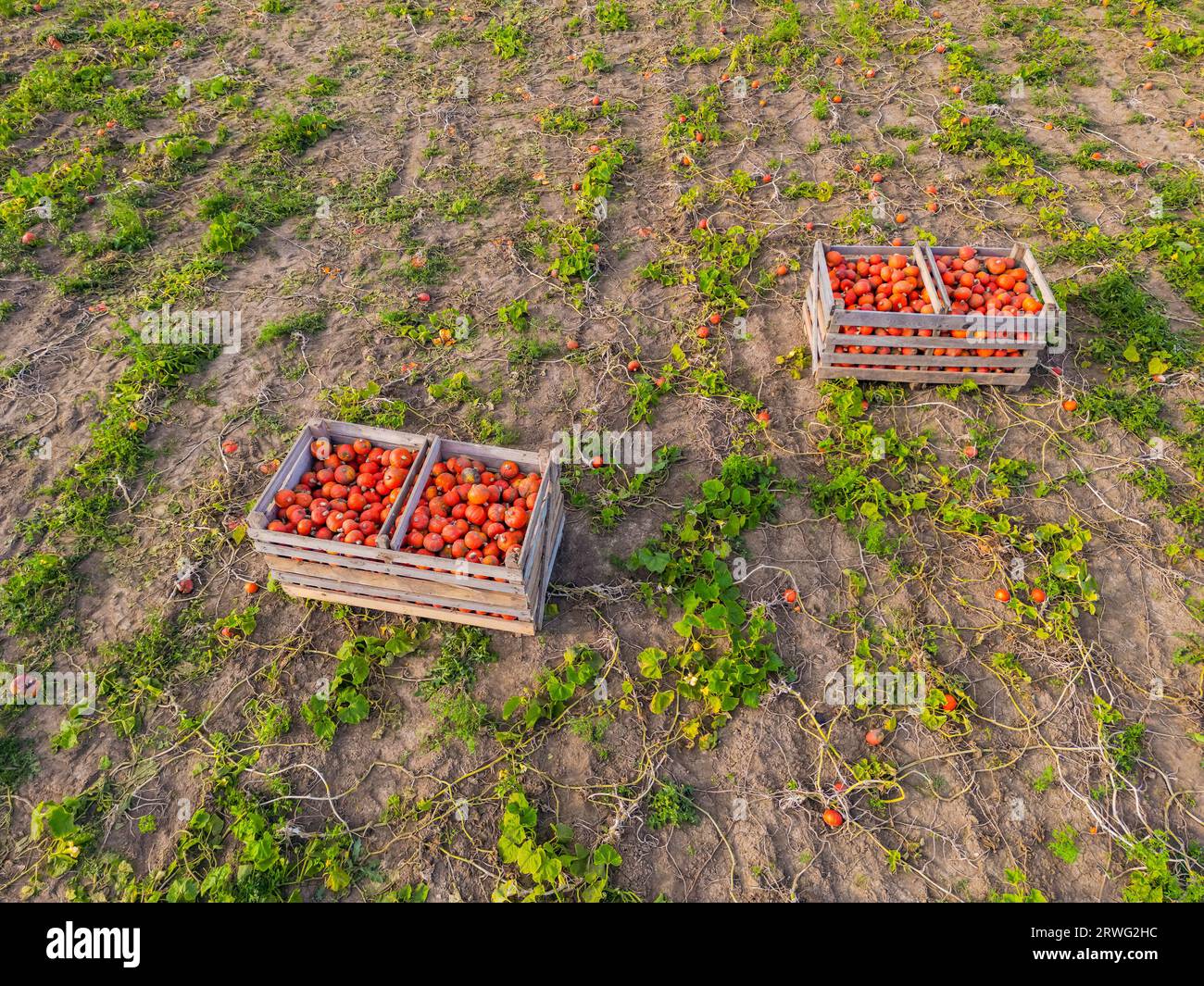 Field of boxes hi-res stock photography and images - Alamy