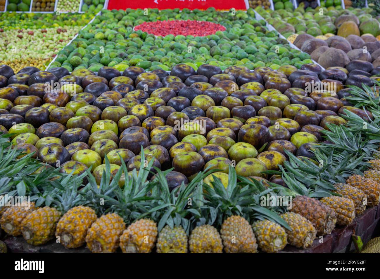 Different types of fruits on display at National Fruits Festival ...