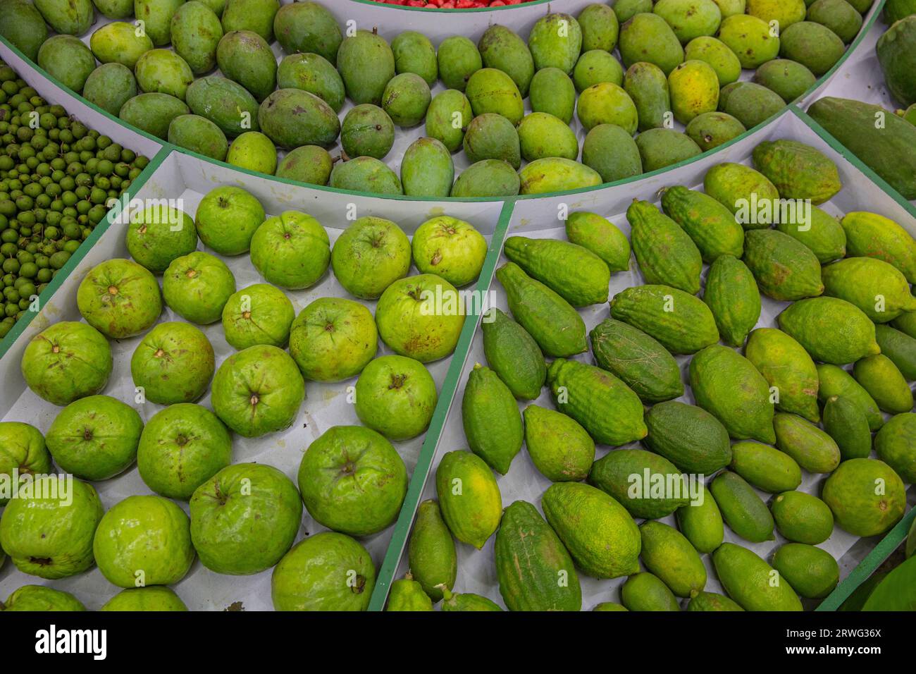 Different types of fruits on display at National Fruits Festival organized by ministry of ...