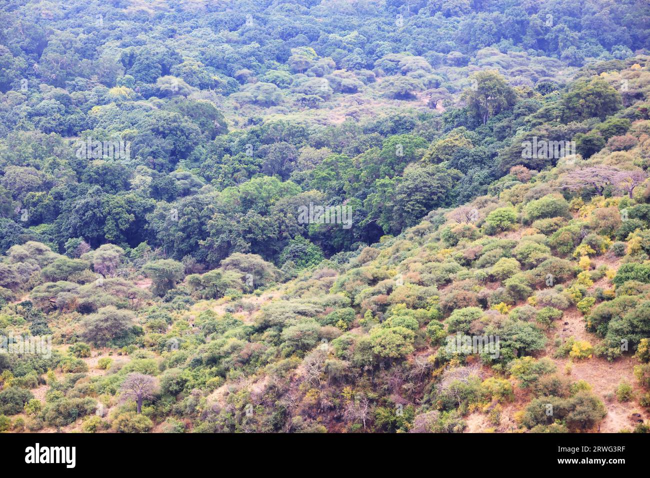 A view of the Rift Valley and Lake Manyara National Park in Tanzania ...