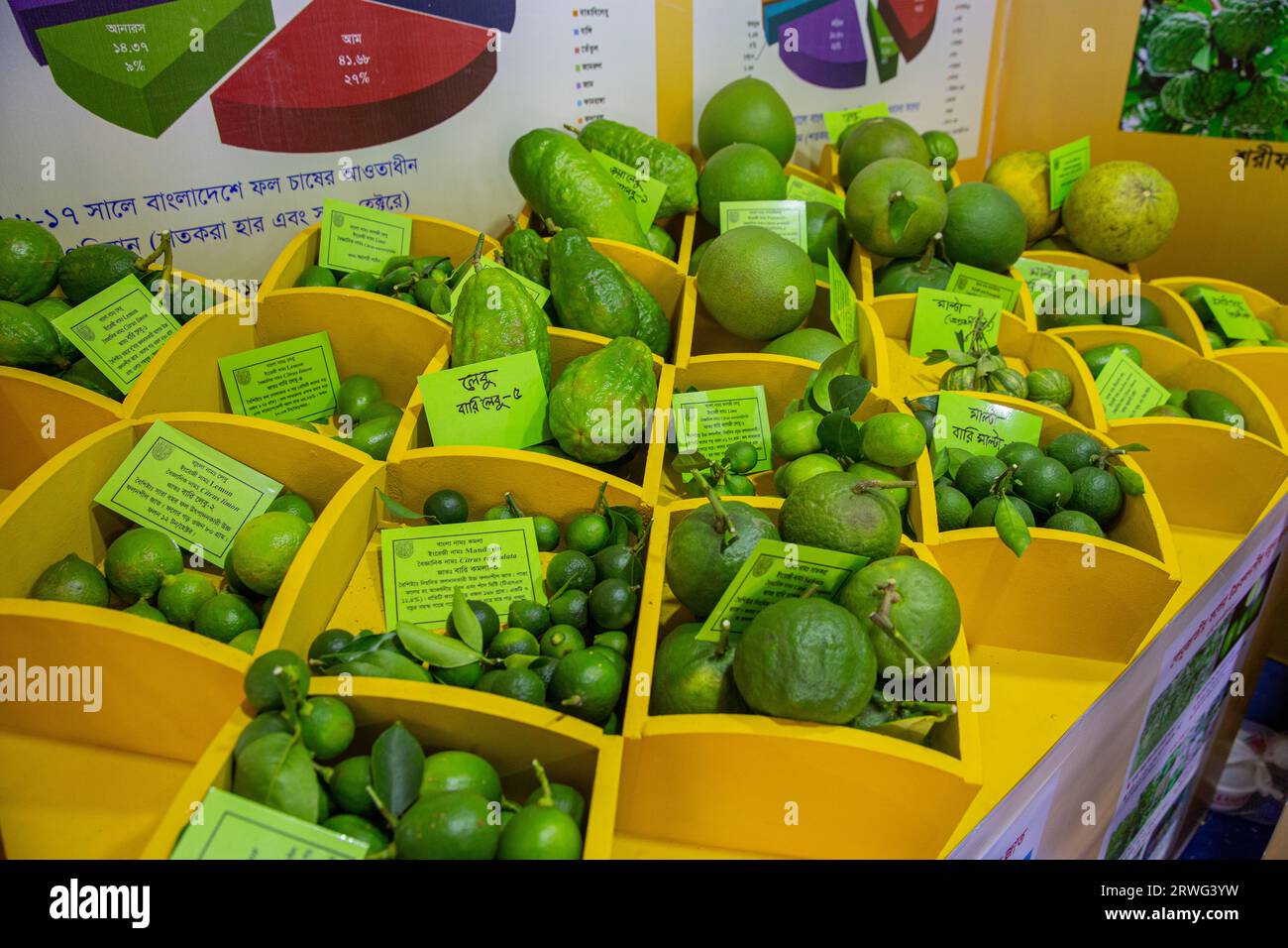 Different types of Fruits on display at the National Fruits Festival ...