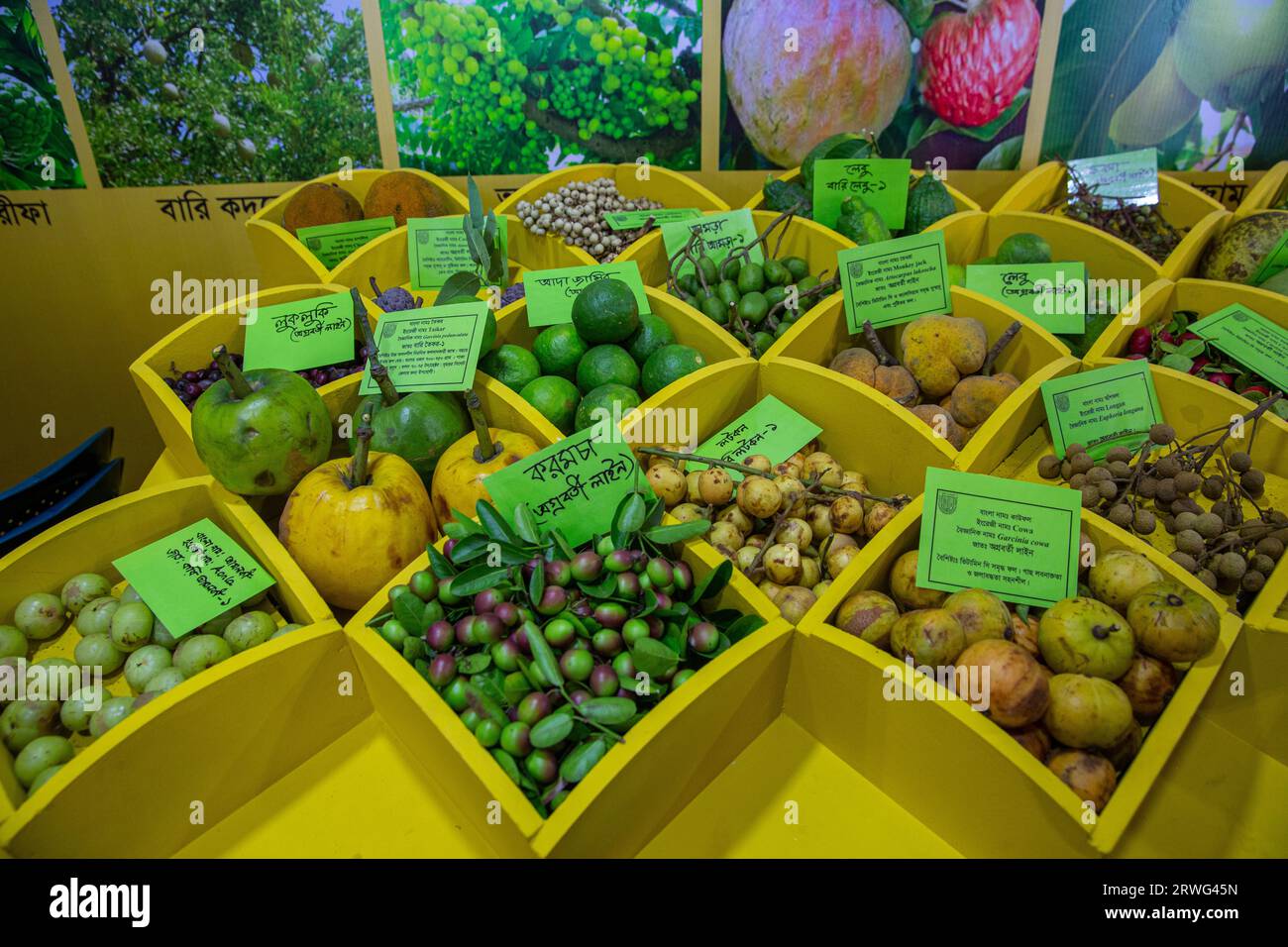 Different types of Fruits on display at the National Fruits Festival ...
