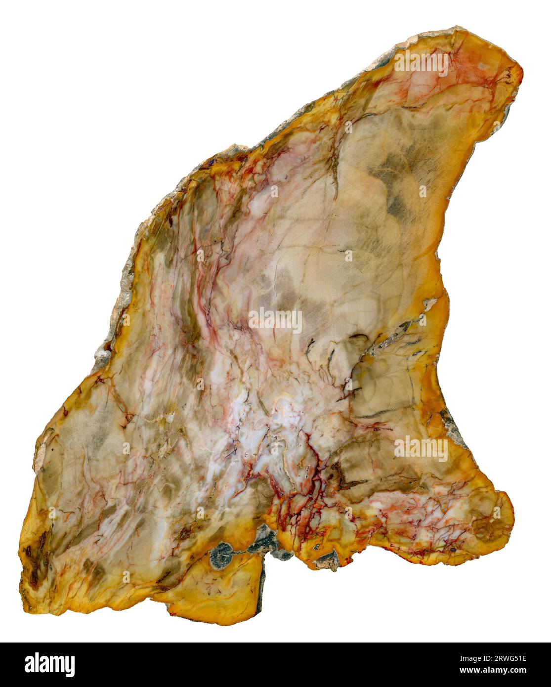 Lateral stone Cut Out Stock Images & Pictures - Alamy