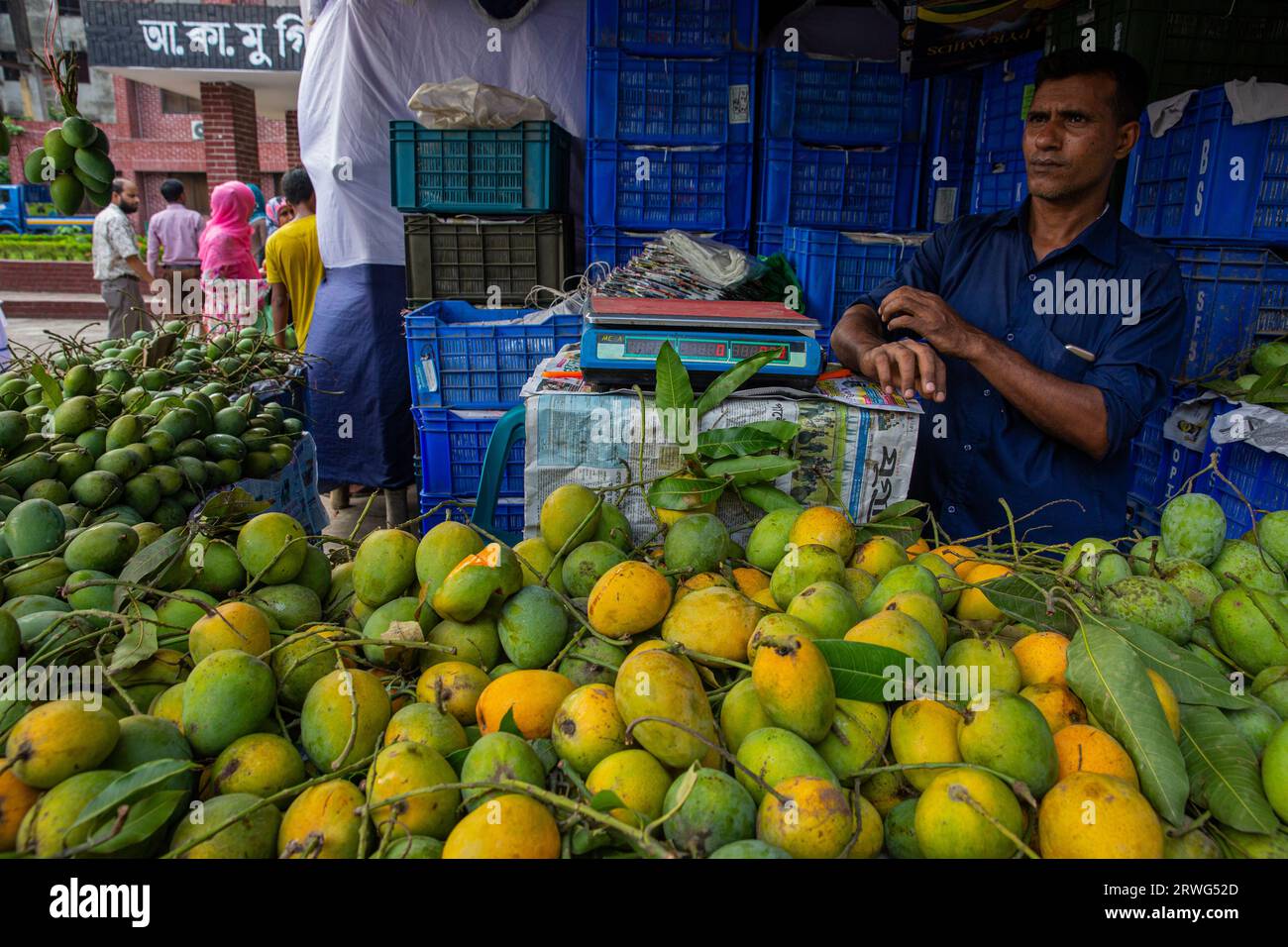 Differnt types of Mangoes on display at the National Fruits Festival ...