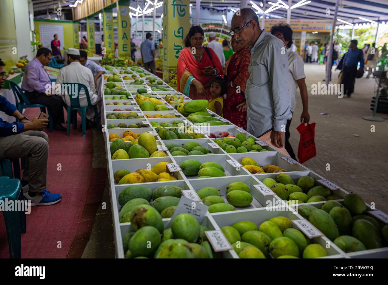 Differnt types of Mangoes on display at the National Fruits Festival ...