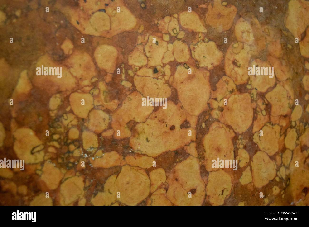 Italian marble texture hi-res stock photography and images - Alamy