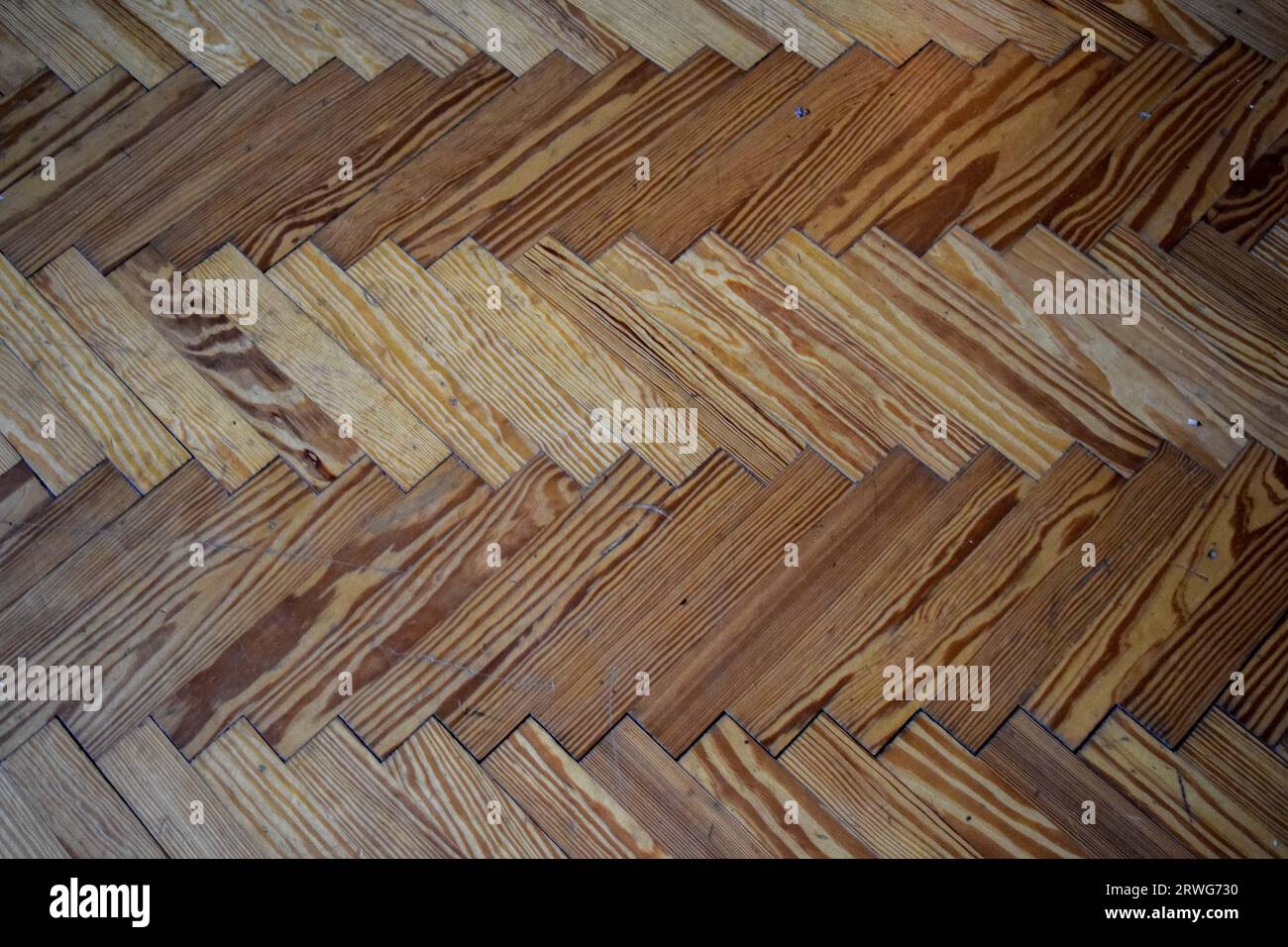 Pinewood panel hi-res stock photography and images - Alamy