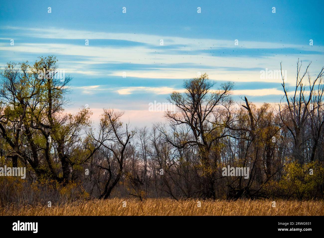 Horicon national wildlife hi-res stock photography and images - Alamy