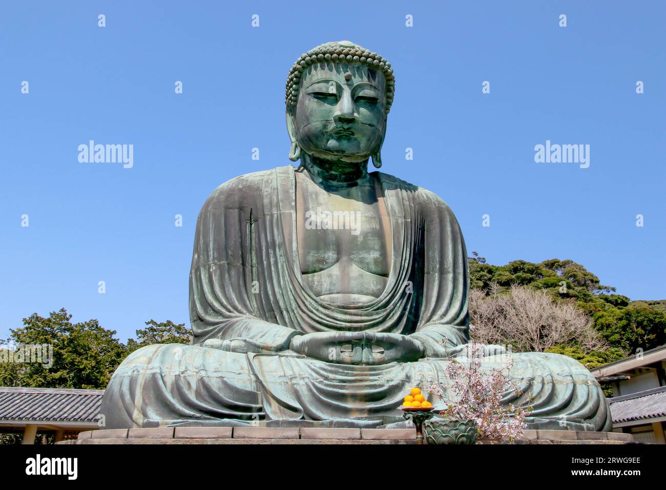 Great Buddha (Daibutsu) on grounds of Kotokuin Temple in Kamakura ...