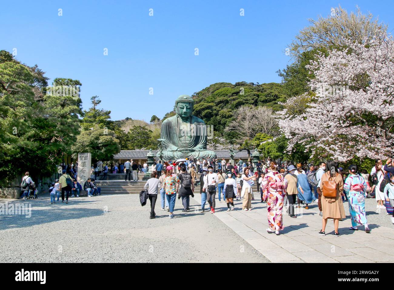 Tourists Flocking To See Great Buddha Daibutsu On Grounds Of Kotokuin Temple In Kamakura