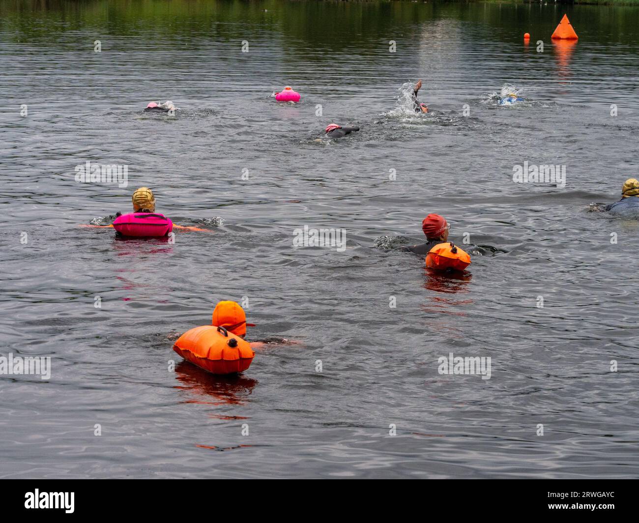 Pickmere, Knutsford, Cheshire, UK. September 14th 2023. Swimmers ...