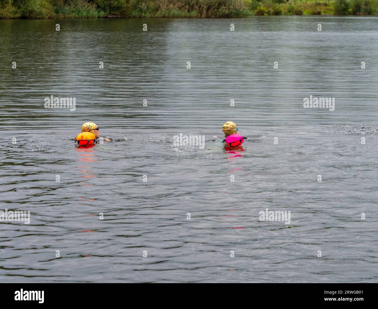 Fermale hi-res stock photography and images - Alamy