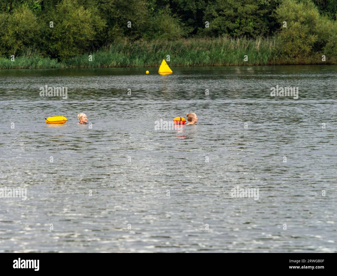 Pickmere, Knutsford, Cheshire, UK. September 14th 2023. Female swimmers ...