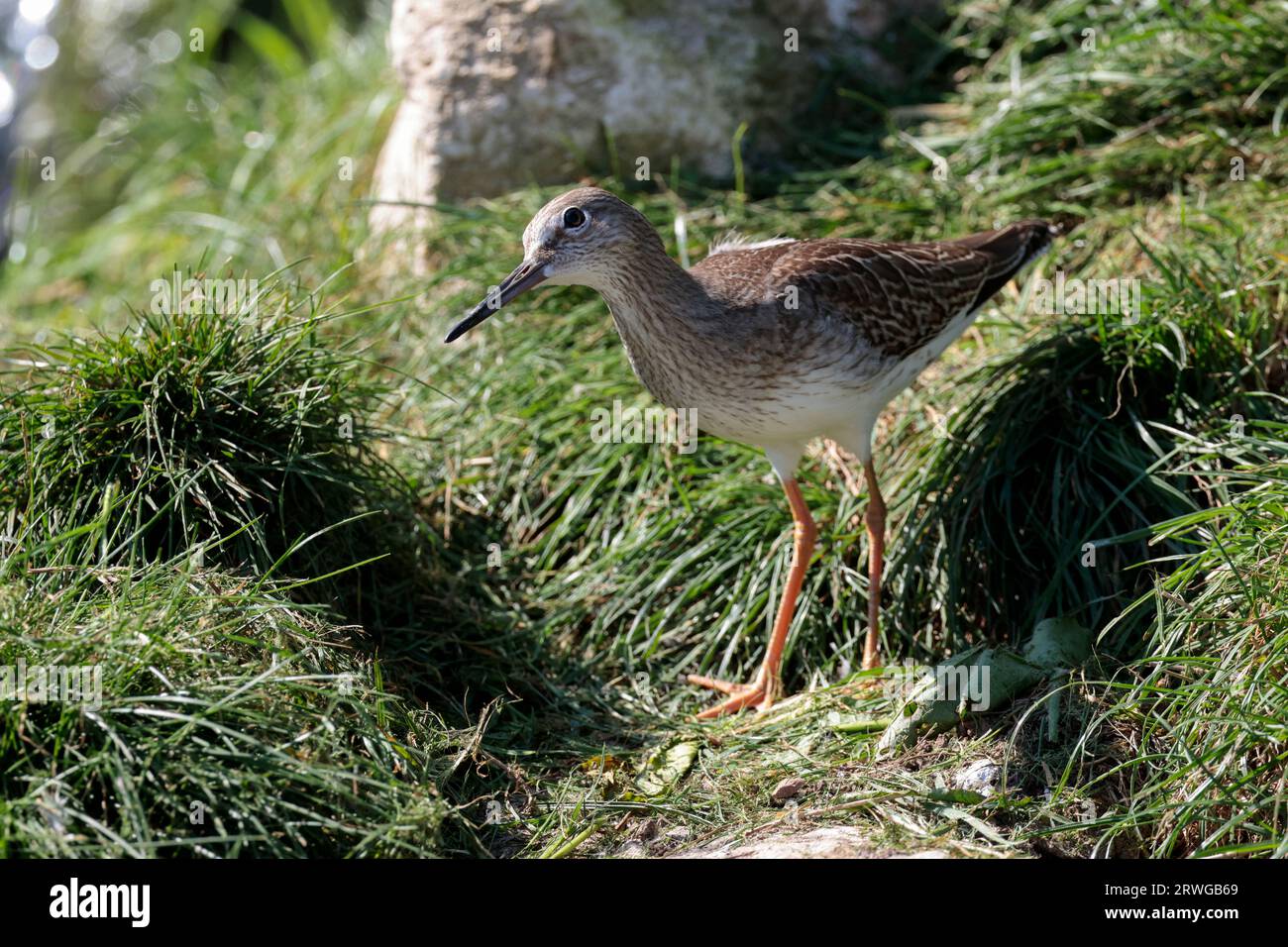 Season based hi-res stock photography and images - Alamy