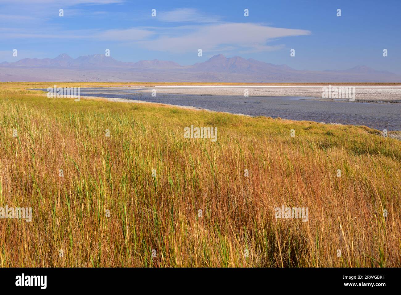 Laguna Cejar is a brackish lagoon in Atacama Desert. At the bottom Los ...