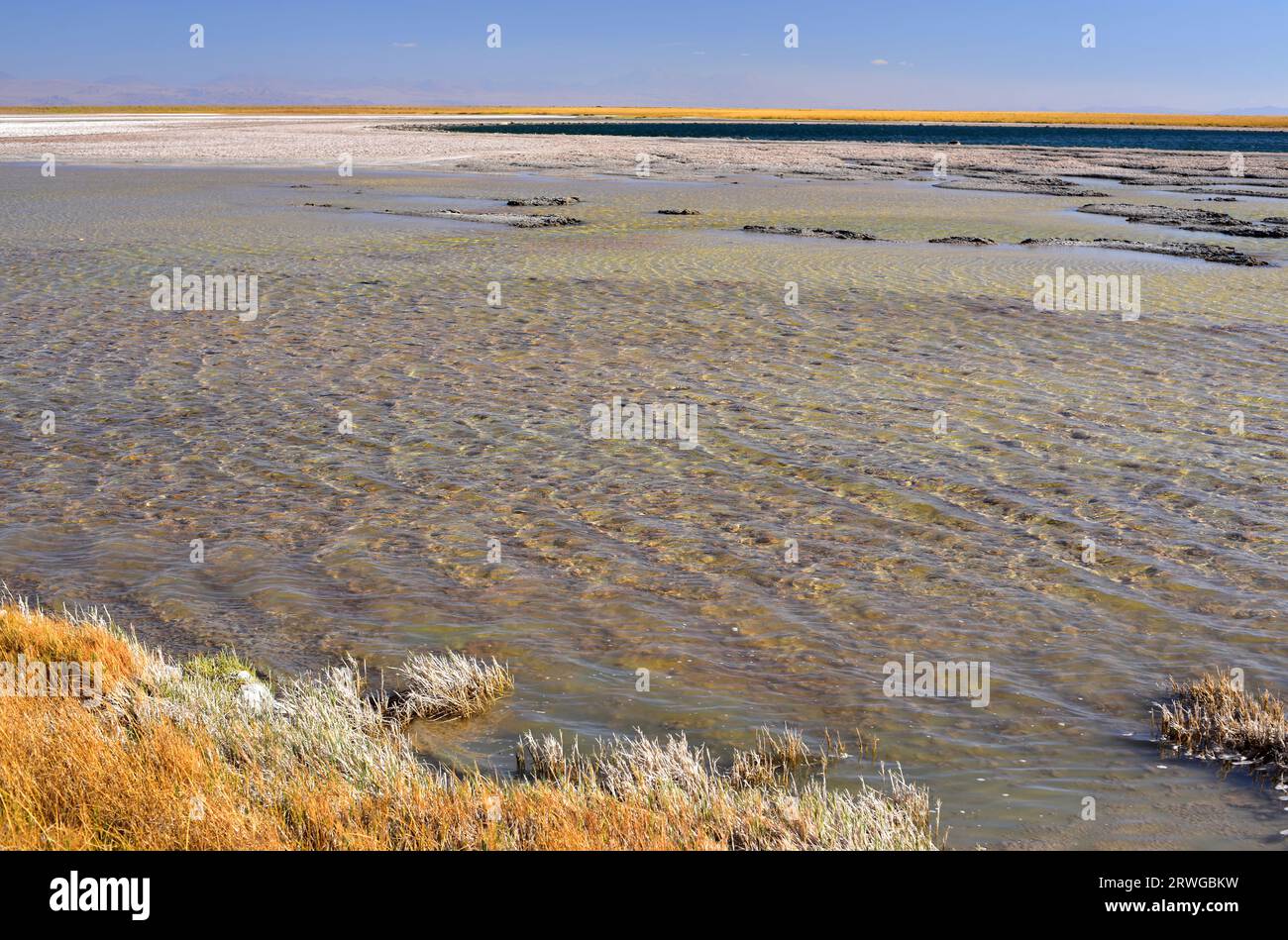 Laguna Cejar is a brackish lagoon in Atacama Desert. El Loa ...
