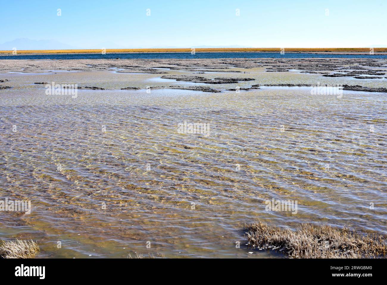 Laguna Cejar is a brackish lagoon in Atacama Desert. El Loa ...