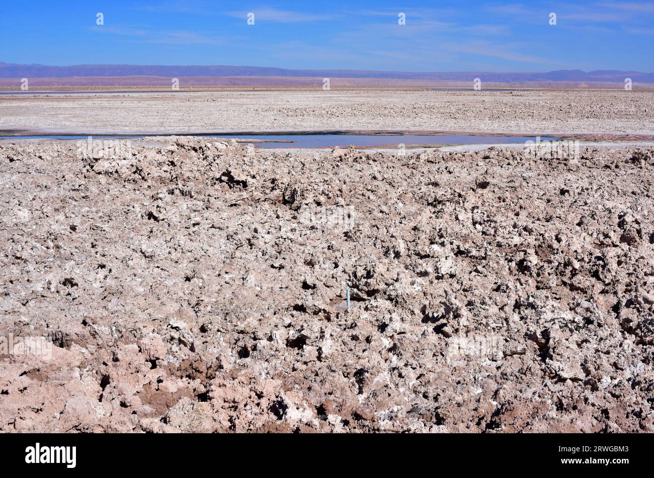 Laguna Chaxa is a brackish lagoon in Atacama Desert. Reserva Nacional ...
