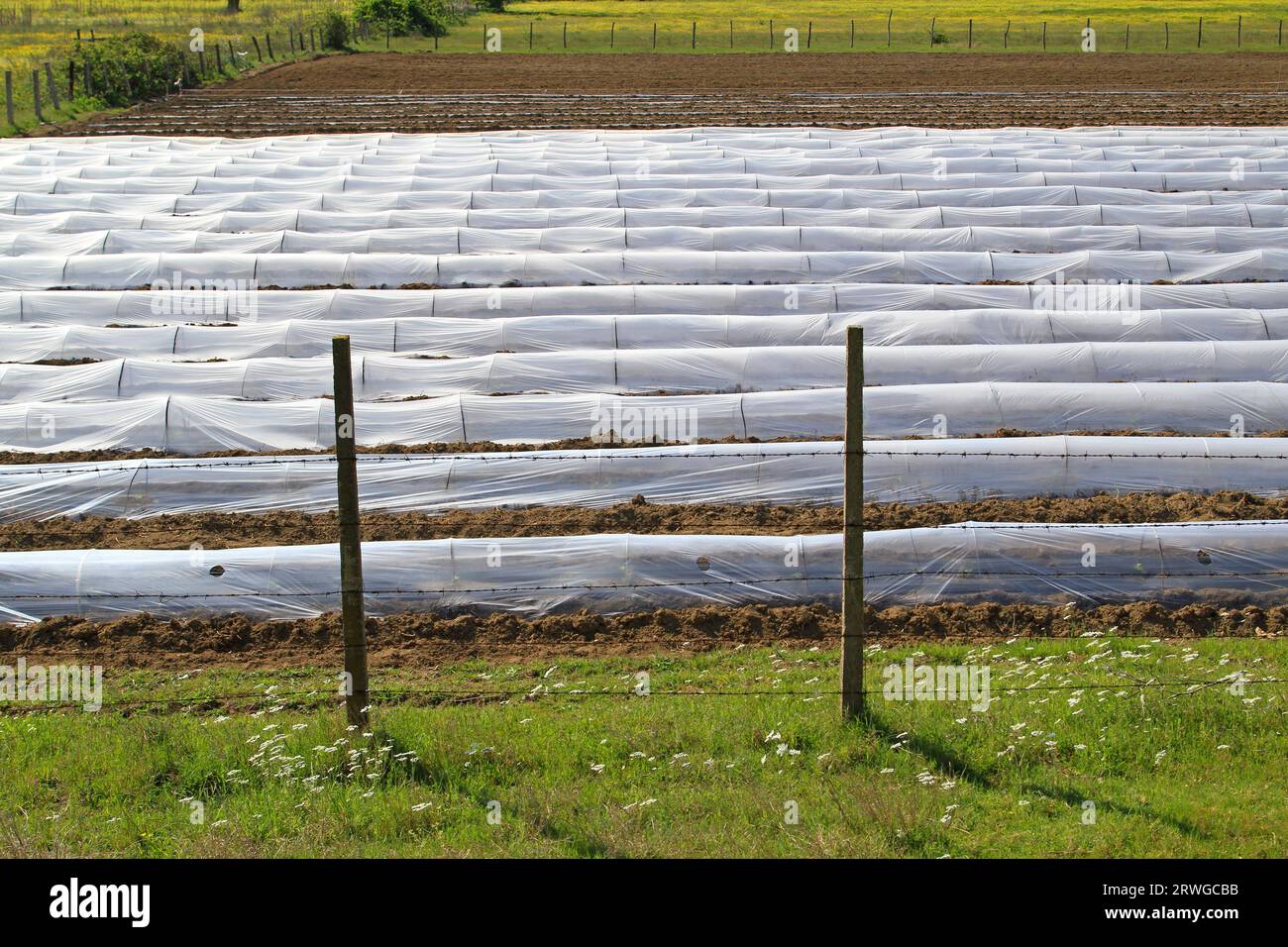 Floating row covers hi-res stock photography and images - Alamy