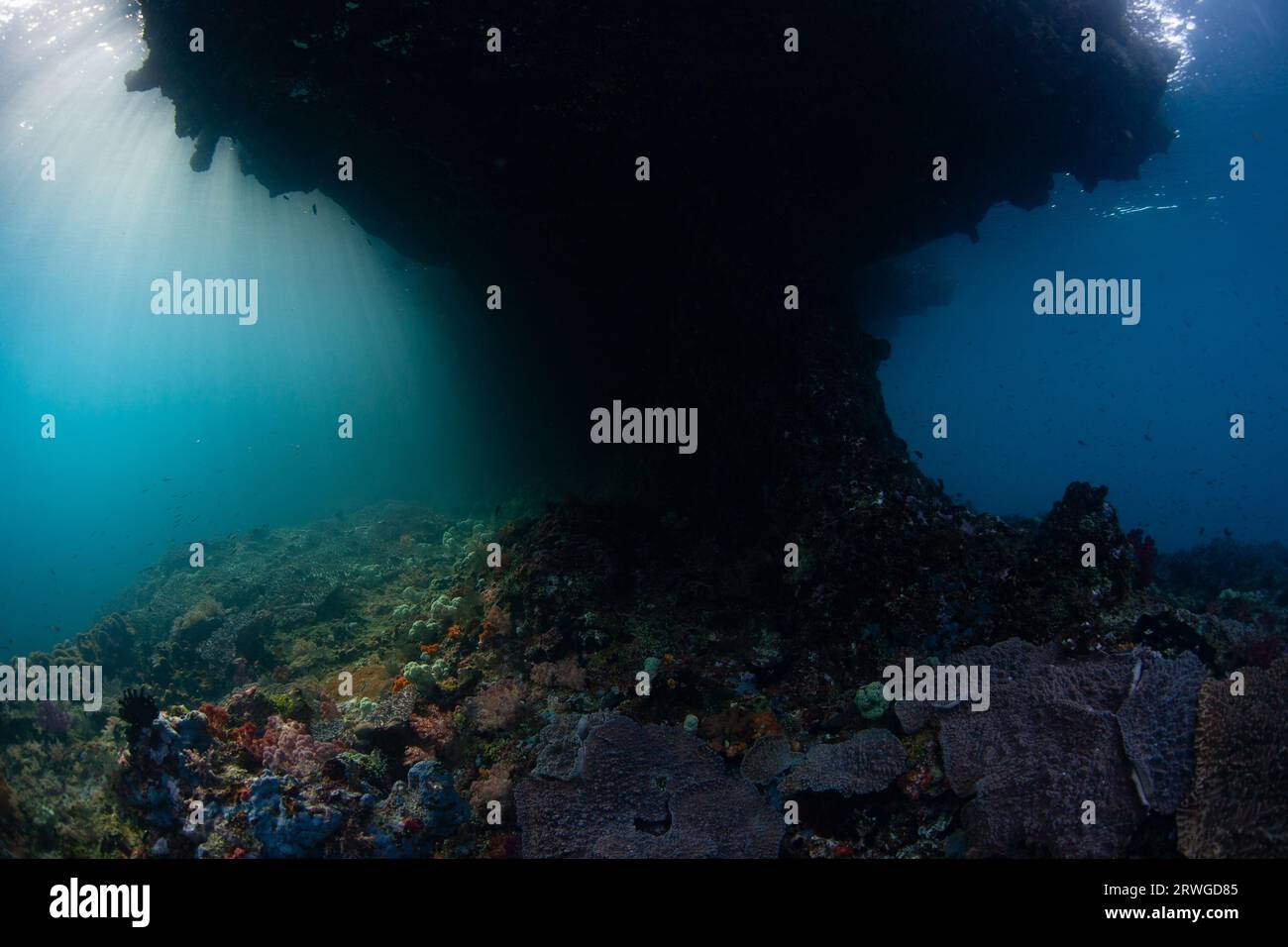 Sunlight silhouettes a small limestone island near Misool, Raja Ampat ...