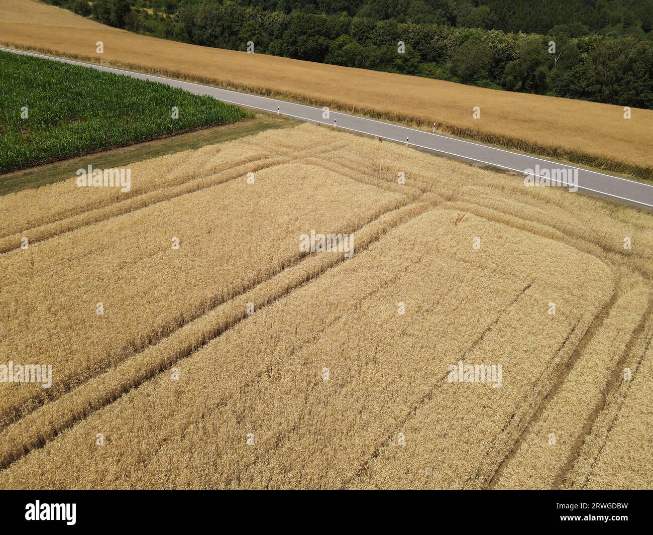 Countryside with ripe crop fields in summer Stock Photo - Alamy