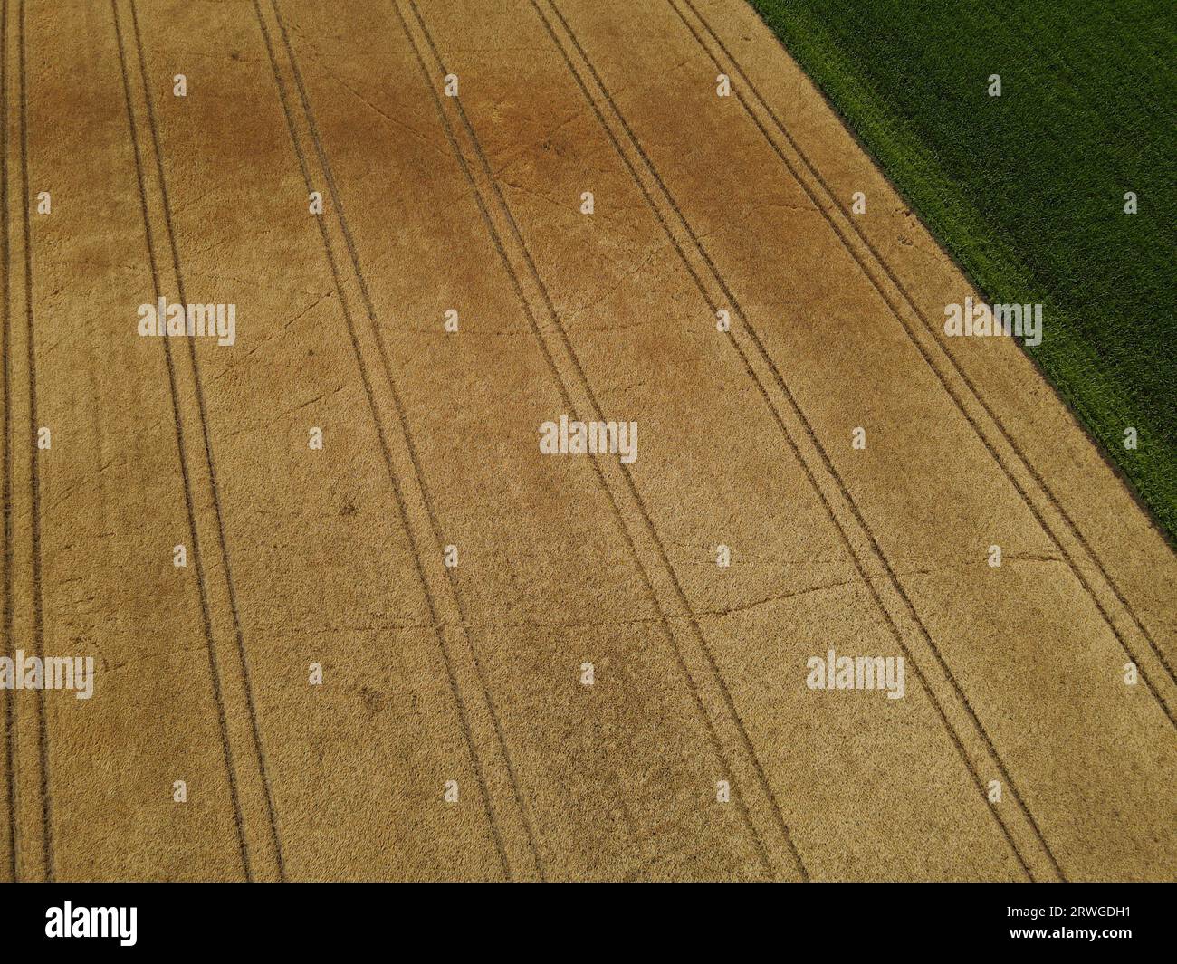 View from above of corn and crop fields in the countryside in summer ...