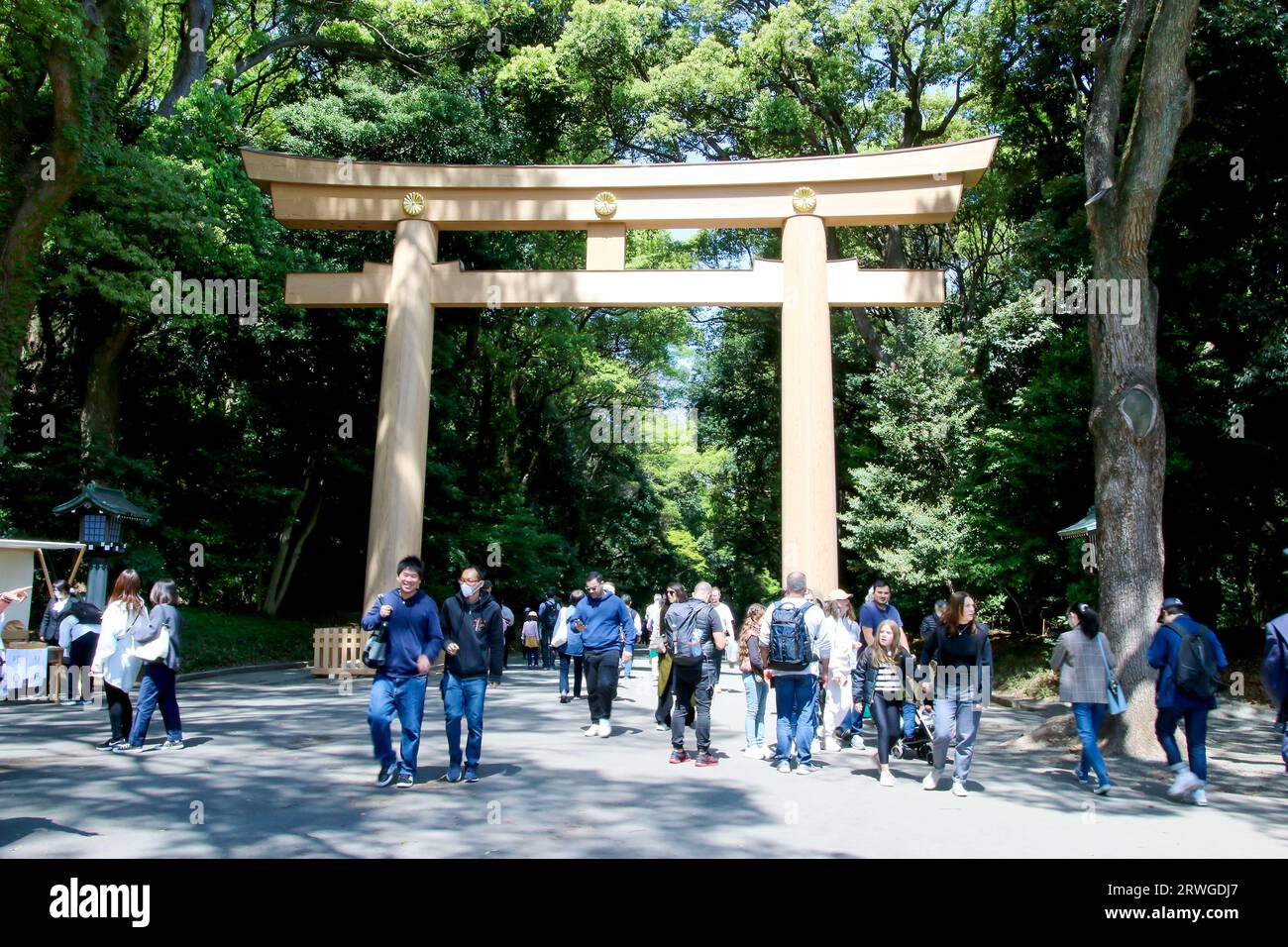 Huge Torii Gate at entrance to Meiji Shrine in Tokyo, Japan Stock Photo ...