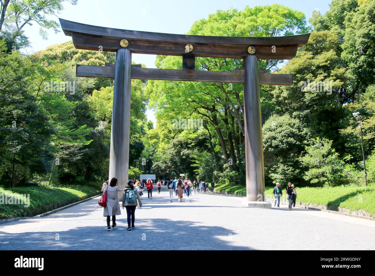 Huge Torii Gate in Meiji Shrine in Tokyo, Japan Stock Photo - Alamy