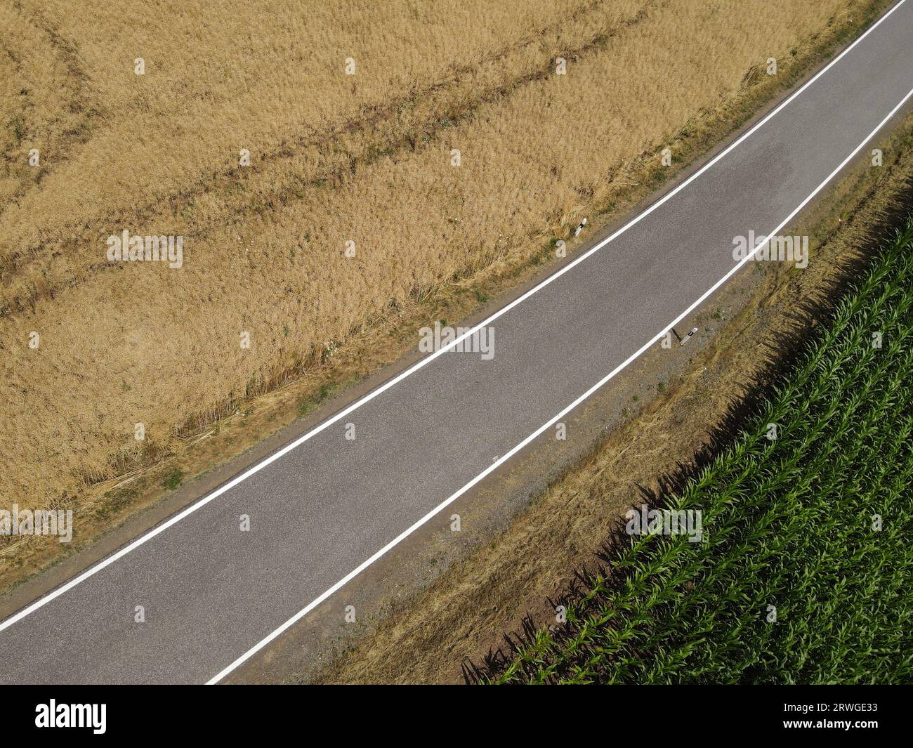 Aerial view of a road between crop and corn fields in the countryside ...