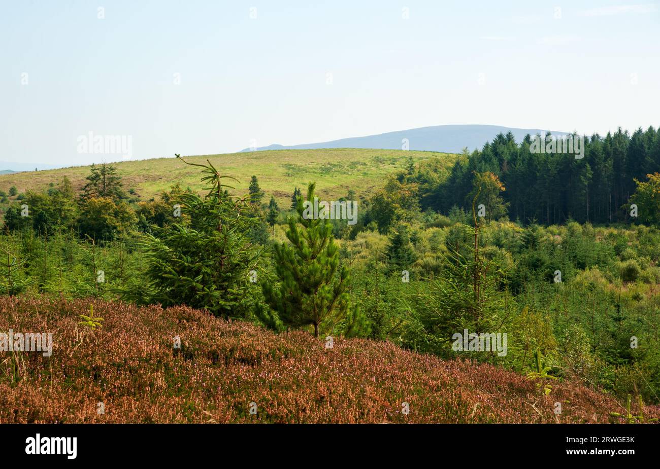 Cuilcagh geopark hi-res stock photography and images - Alamy