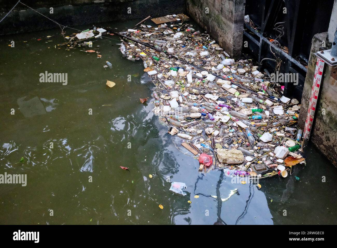 Bangkok, Thailand, December 28, 2018. A polluted body of water filled ...
