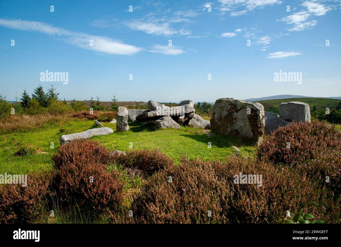 Tullygobban Tomb in Cavan Burren Park, Neolithic Period, Ireland Stock ...