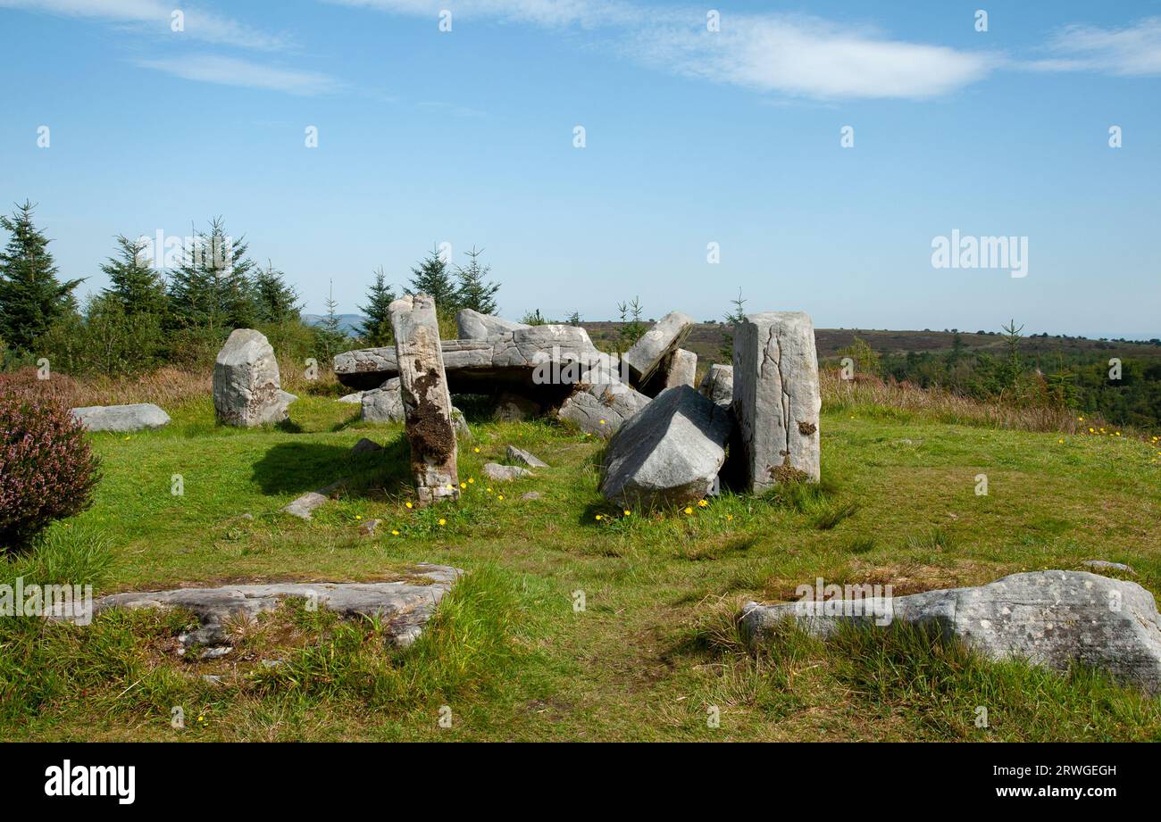 Tullygobban Tomb in Cavan Burren Park, Neolithic Period, Ireland Stock ...