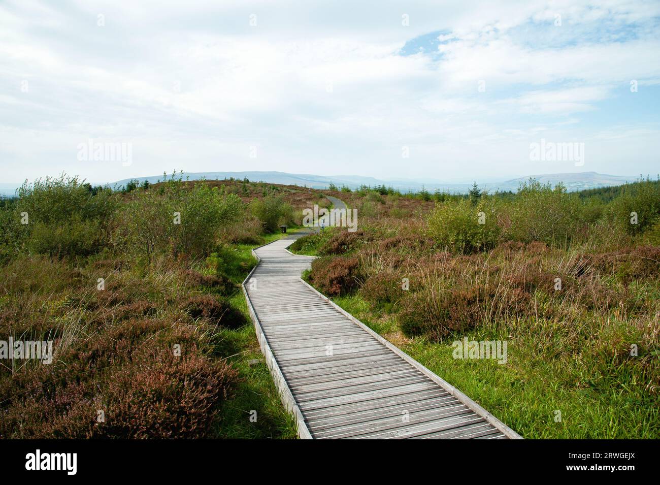 Cavan Burren Park, Geopark, Blacklion, Co Cavan, Ireland Stock Photo ...