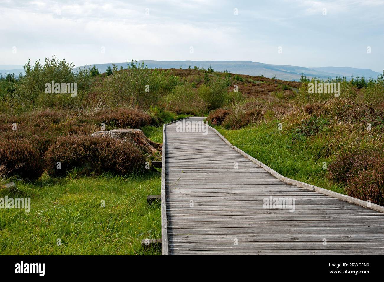 Cavan Burren Park, Geopark, Blacklion, Co Cavan, Ireland Stock Photo ...
