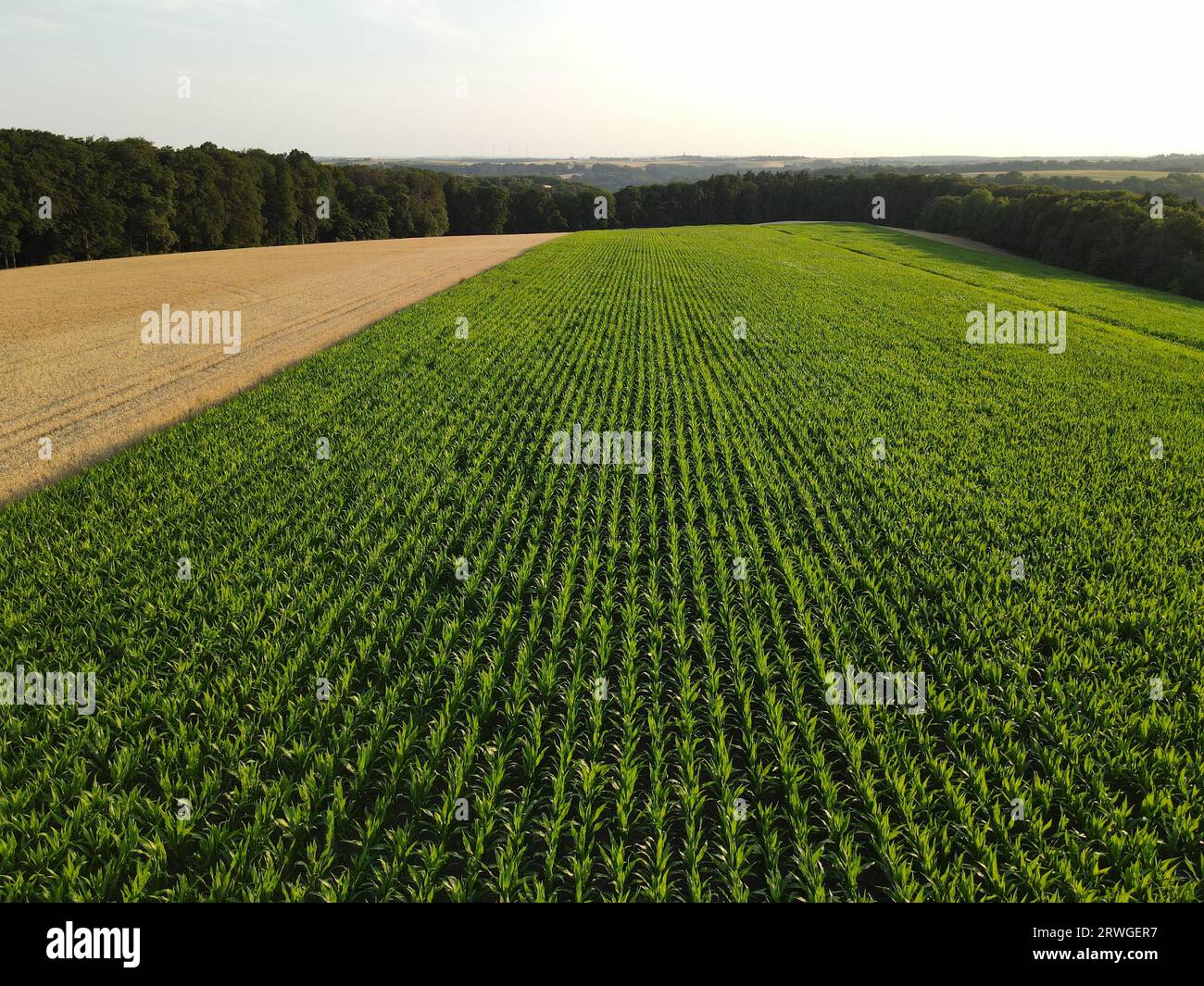 Cornfields aerial hi-res stock photography and images - Alamy