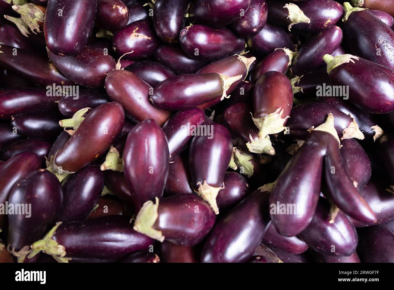 Lots of eco grow eggplants in the city market Stock Photo - Alamy