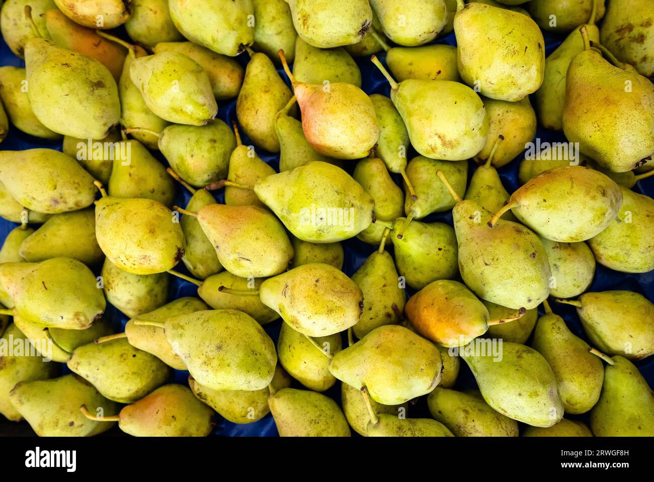 Lots of pears hi-res stock photography and images - Alamy