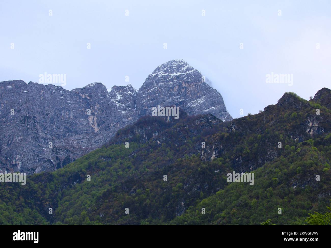 Snow blanketed forest hi-res stock photography and images - Alamy