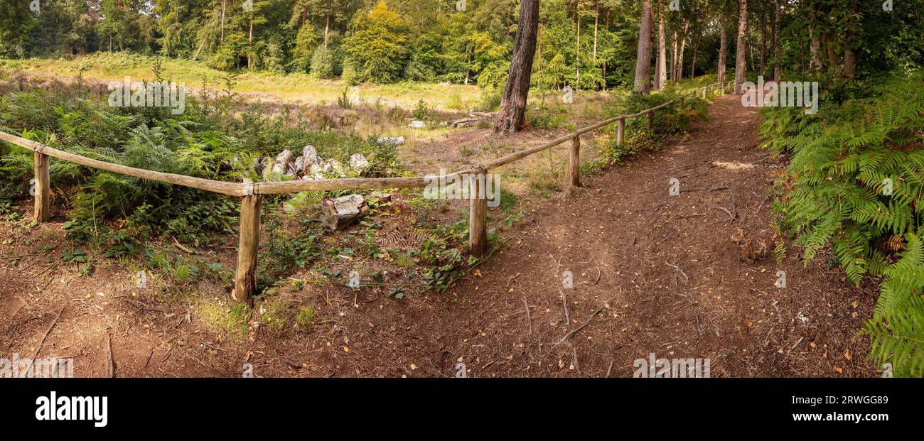Charles darwins landscape laboratory hi-res stock photography and ...