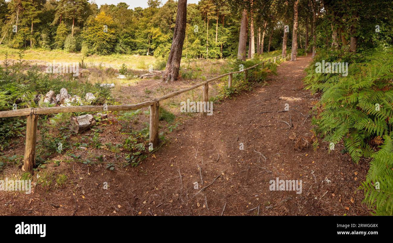 Reverse habitat degradation hi-res stock photography and images - Alamy