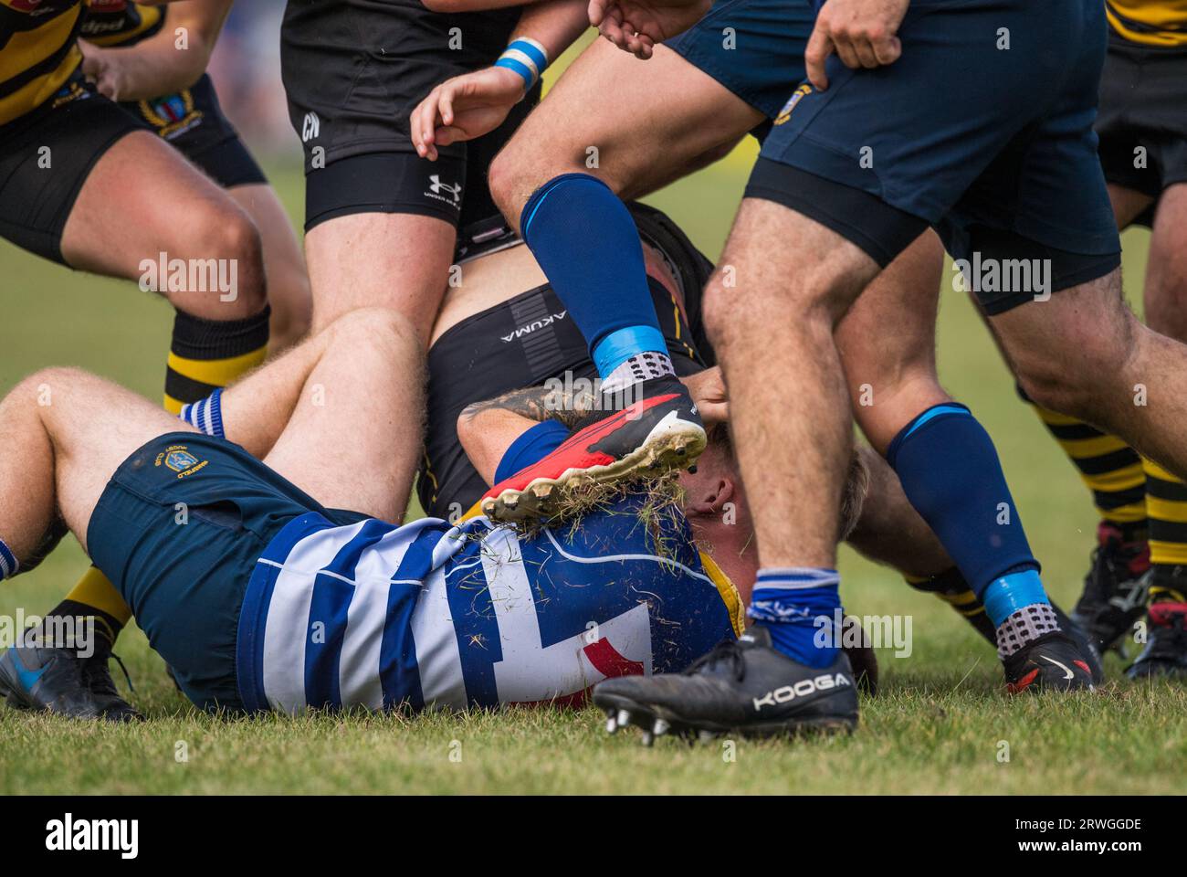 English mens amateur Rugby Union players playing in a league game Stock ...