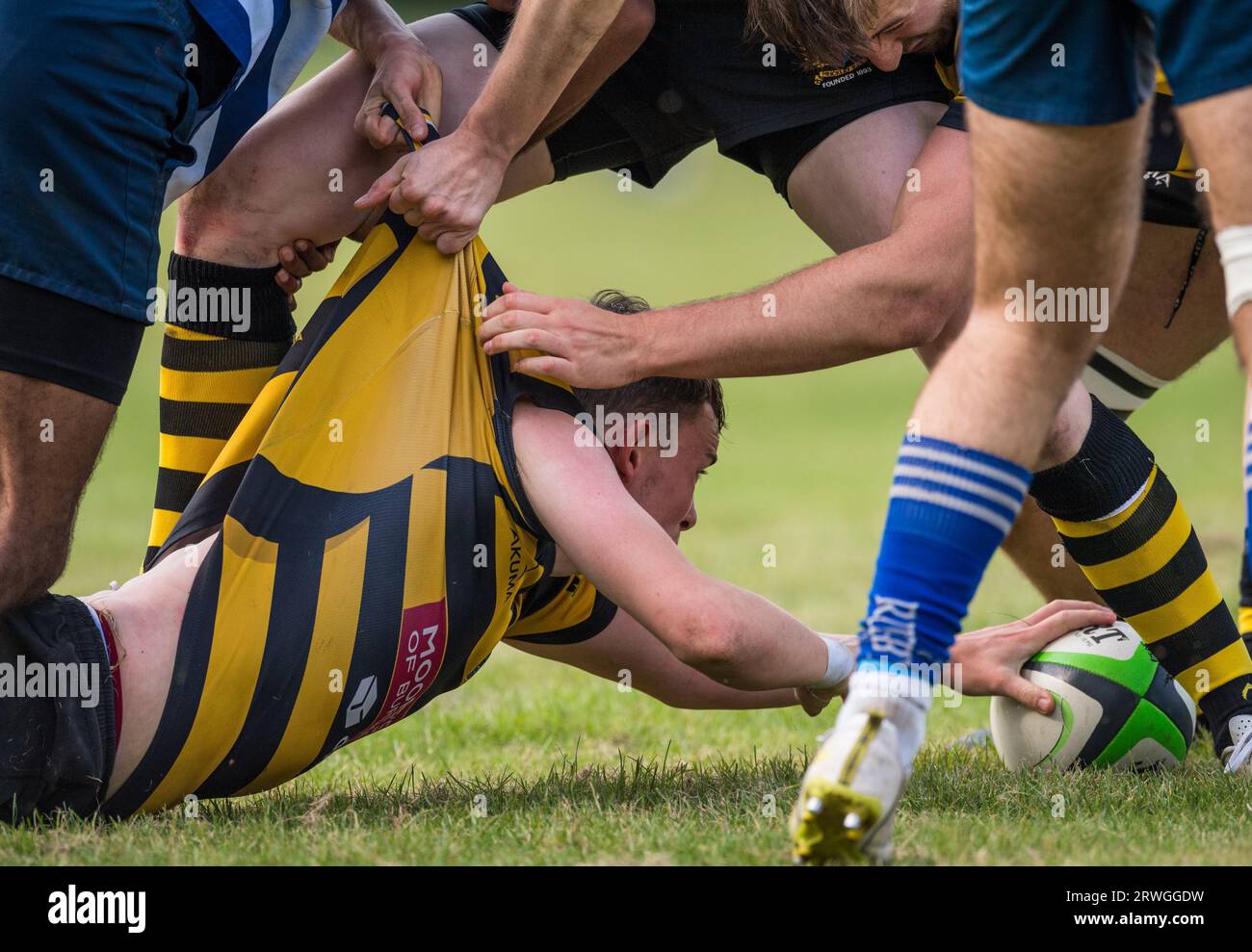 English mens amateur Rugby Union players playing in a league game Stock ...