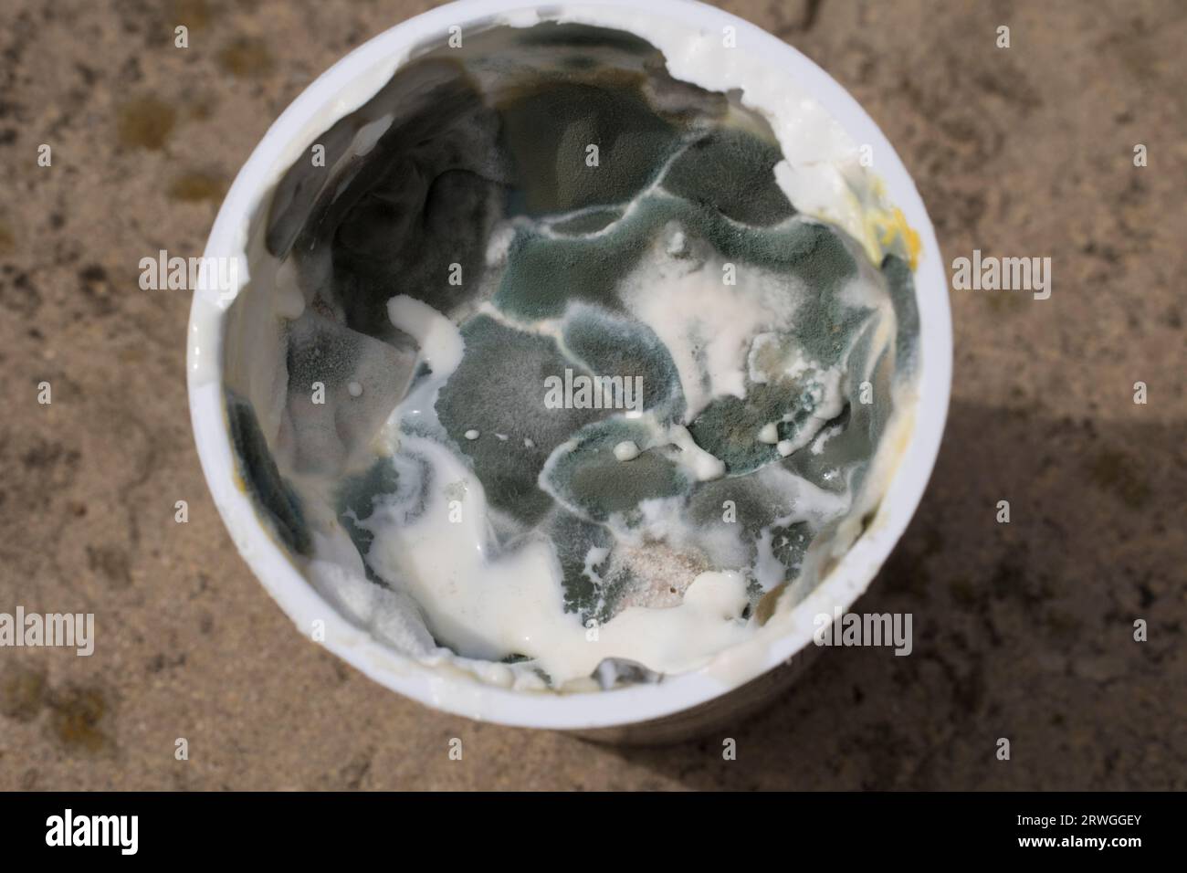 Penicillium hi-res stock photography and images - Alamy