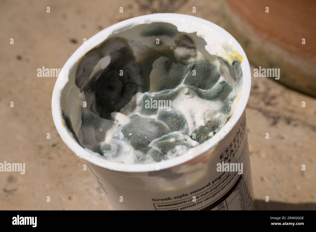 Fungal growth on mouldy Yoghurt UK Stock Photo - Alamy