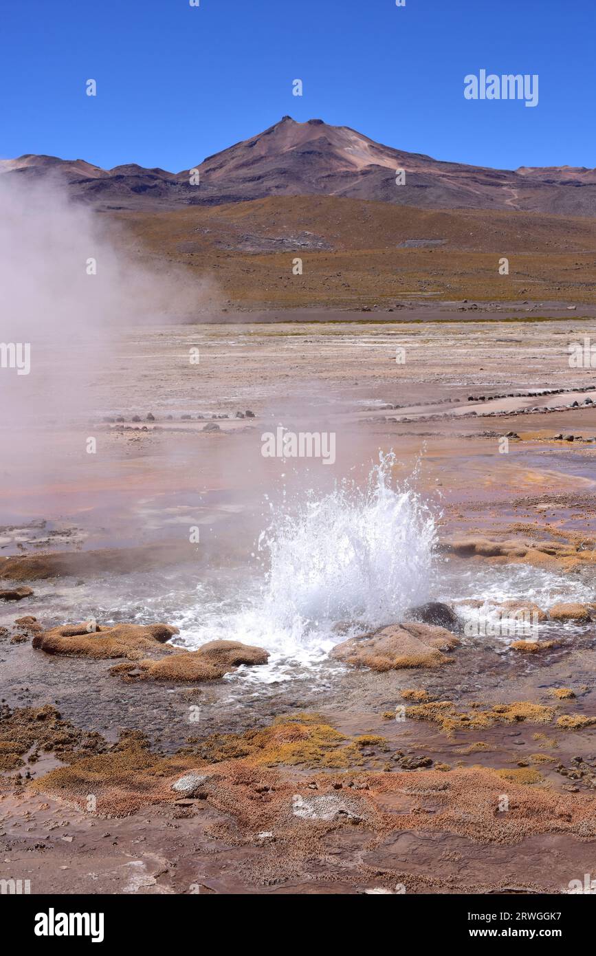 El Tatio Geyser Field. At background, El Tatio volcanic group. San ...