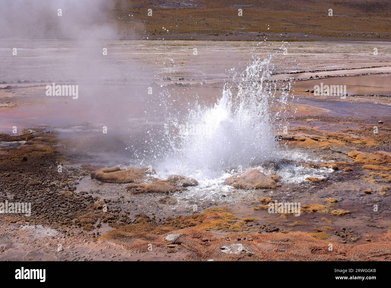 El Tatio Geyser Field. Geyser cone composed of geyserite a kind of ...
