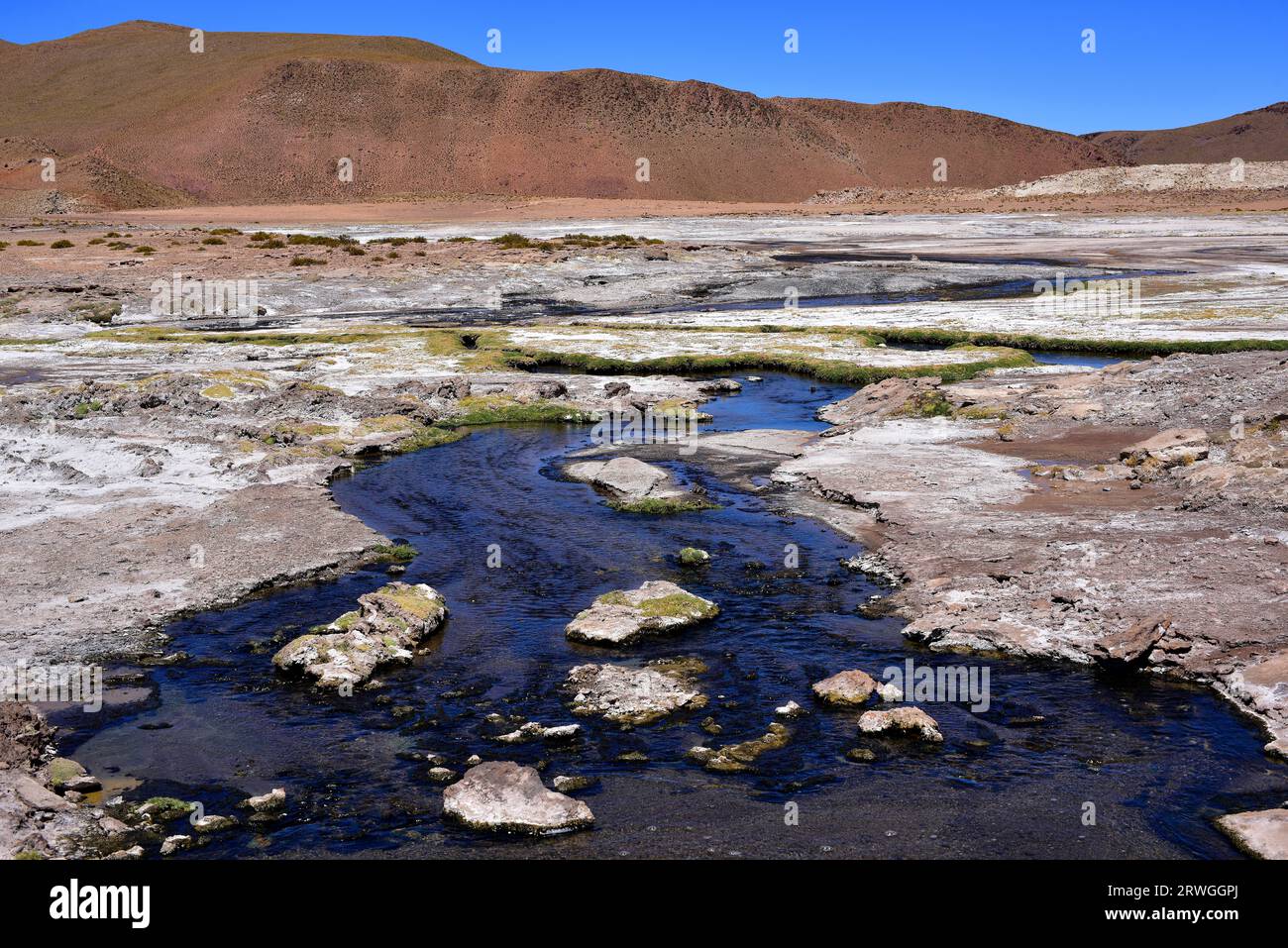 El Tatio Geyser Field. Extremophiles microorganisms (Archaea, Bacteria ...