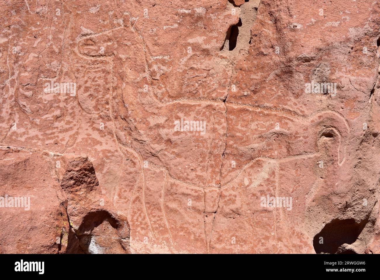 Arte rupestre atacameno hi-res stock photography and images - Alamy